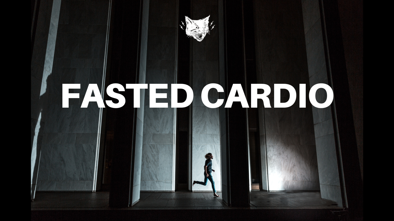 FASTED CARDIO - ALL YOU NEED TO KNOW! – Black Magic Supply