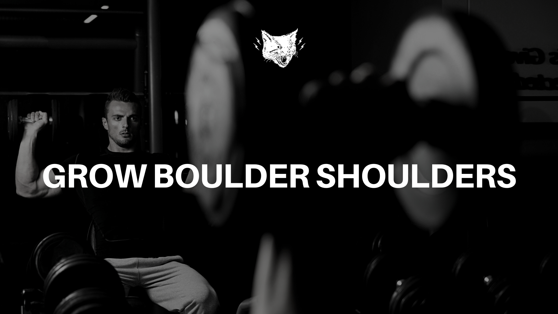 TIPS TO GROW BOULDER SHOULDERS – Black Magic Supply